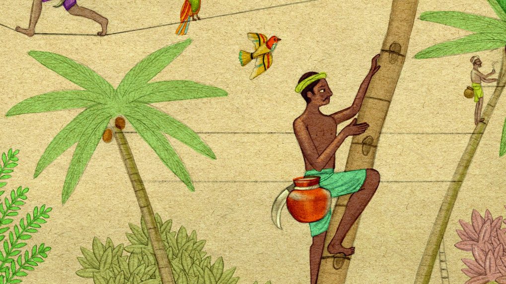 Distilled delight: The unpretentious appeal of Sri Lankan arrack