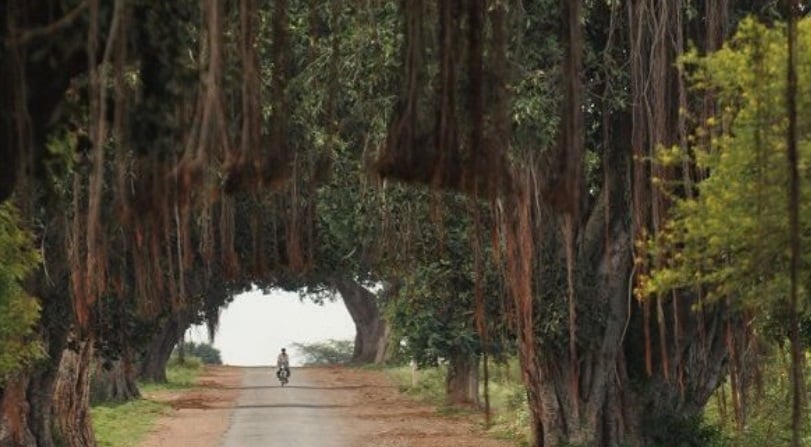 You Begin To See Nature As A Living Being