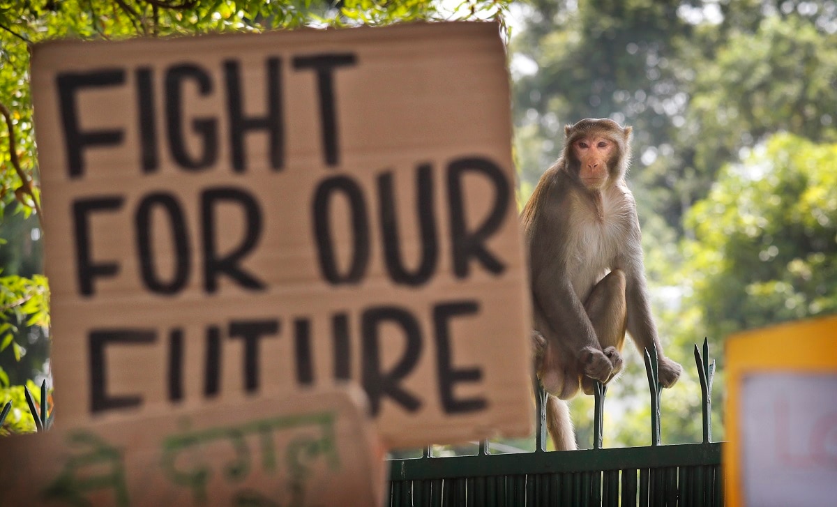 Here are the most spectacular pictures of last week from Asia ...