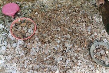 Mica scavenging in Jharkhand destroys lives and environment - CNBC TV18