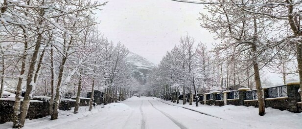Kalpa In Himachal Pradesh Wrapped In Snow Blanket