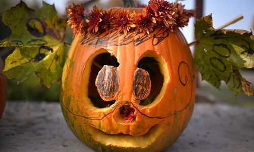 Halloween 2022: 10 Scary Movies To Binge-Watch This Weekend