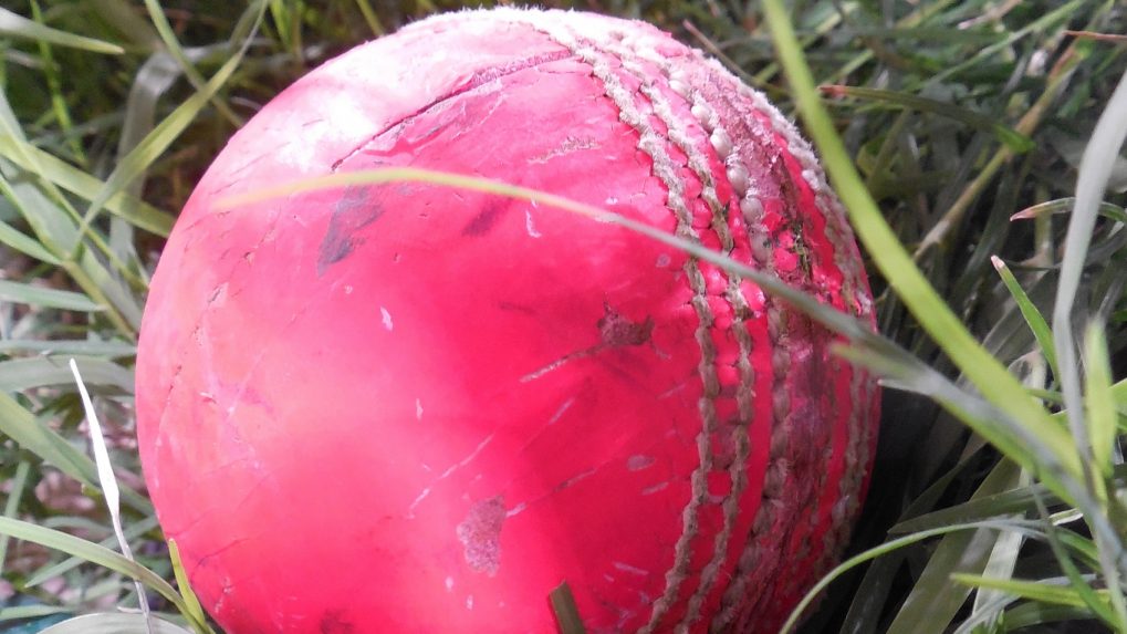 India-Bangladesh Test Match: All You Need To Know About The 'Pink Ball'