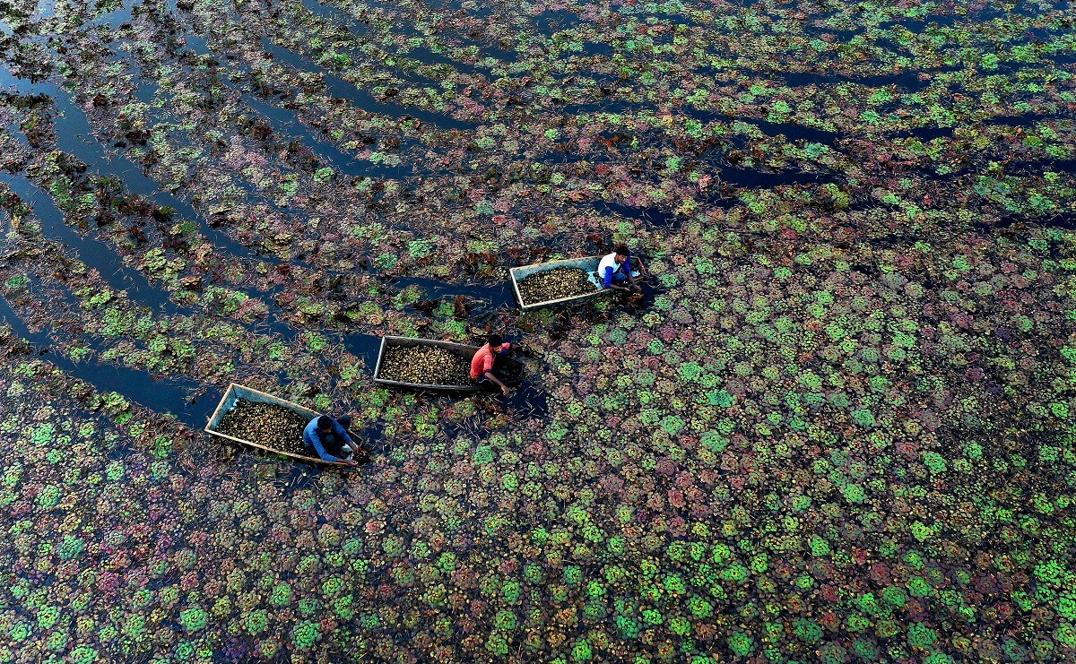 Here are the most spectacular pictures of last week from Asia ...
