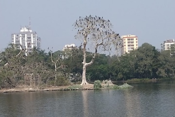 The Lady of Rabindra Sarovar lake - CNBC TV18