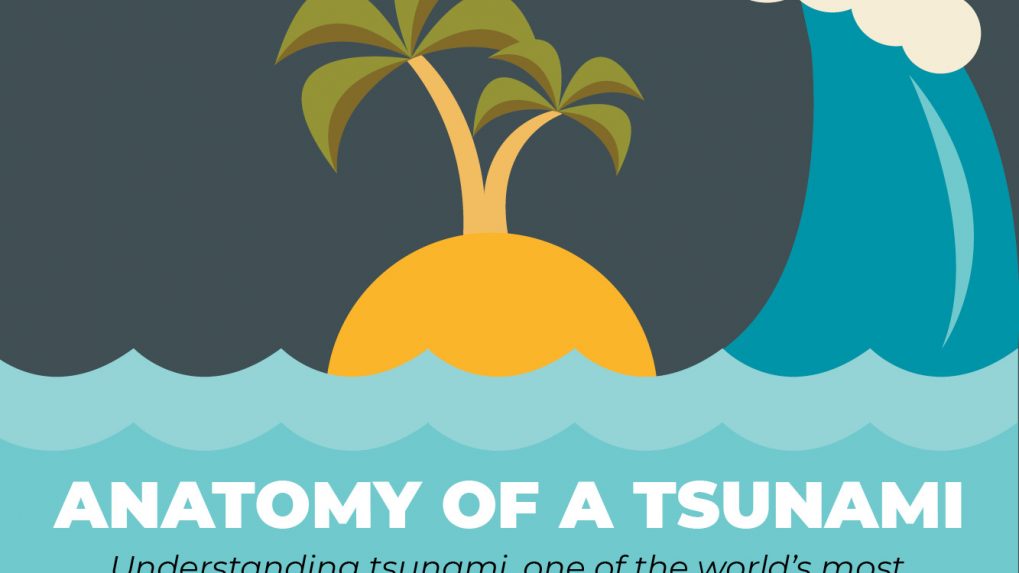 In Pictures: Anatomy of a Tsunami