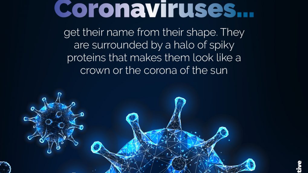 R0: How scientists quantify the intensity of an outbreak like ...