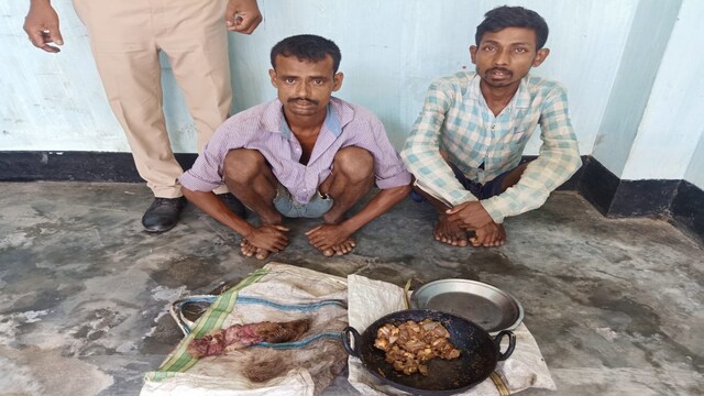 Hog deer escaping floods in Kaziranga killed by miscreants for meat ...