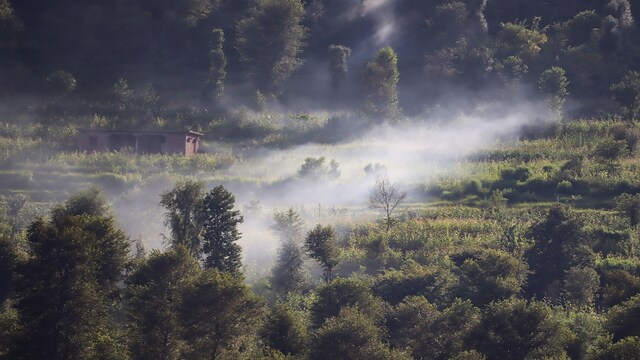 Pakistan army shells 3 sectors along LoC in Poonch - CNBC TV18