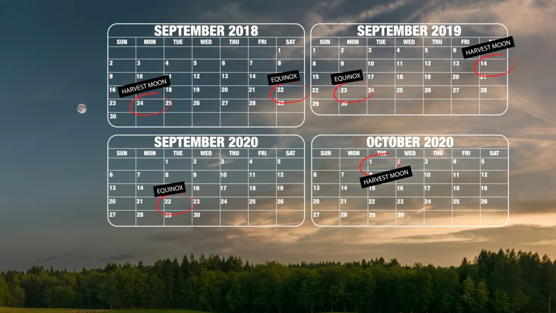 Stunning photos of the October night sky beaming with meteor showers ...