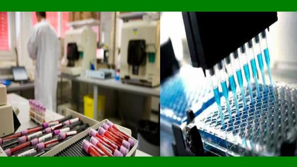 Hitech Diagnostic's acquisition strengthens our balance sheet ...