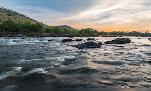 Here is a look at five positive environmental news from 2021 - CNBC TV18