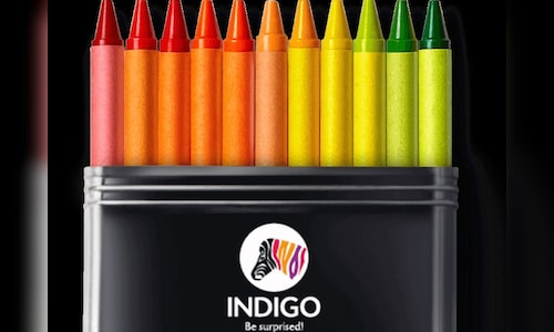 Indigo Paints Q3 results: Net profit rises 30% YoY to Rs Rs 24.3 crore ...