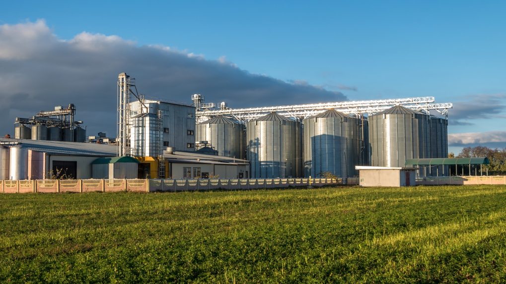 Govt Approves PLI Scheme Worth Rs 10 900 For Food Processing Sector Govt Approves PLI Scheme Worth Rs 10 900 For Food Processing Sector