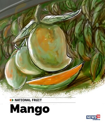 From microbe to vegetable: Know about India's national symbols on ...