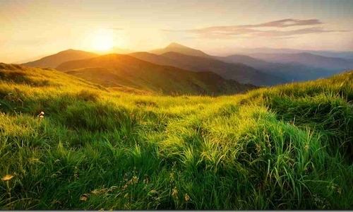 Future of crypto carbon offset projects as Verra suspends blockchain ...