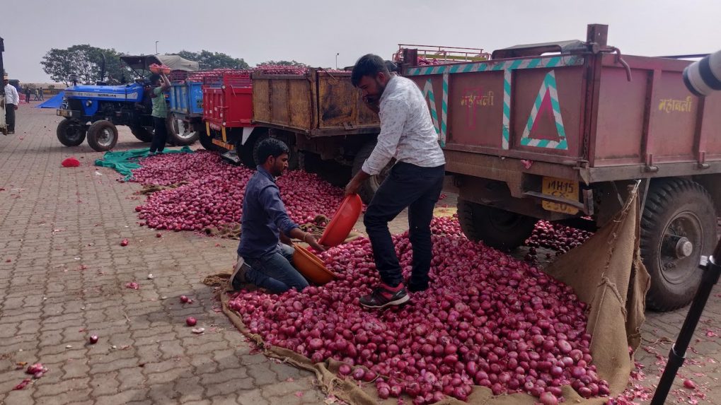 After tomatoes, onion prices will singe consumers, suggest multiple ...