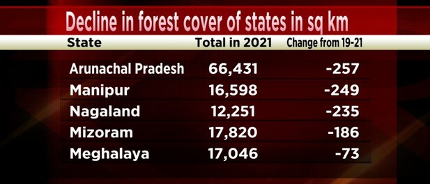 India's forest cover is improving, but here's the catch