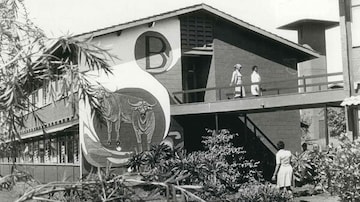 World Environment Day 2022 emphasises on Only One Earth. Here is its ...