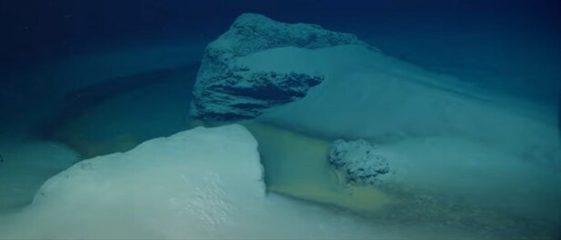 Lethal pool that kills anything that swims into it discovered at Red Sea