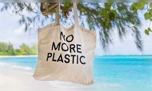 International Plastic Bag Free Day: How to say no to plastic bags ...