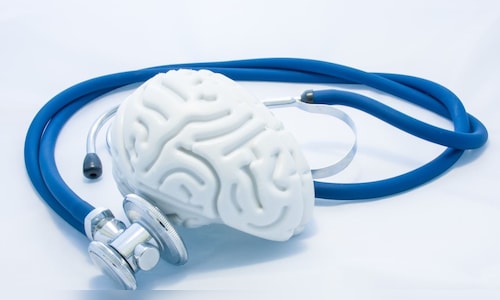 Indian neuroscientist awarded Society of Neuroscience's prestigious ...