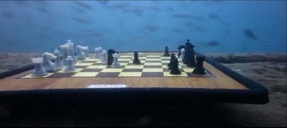 Watch | A game of chess underwater in full scuba gear