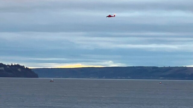 Plane crashes near Seattle in Washington state, one killed and nine ...