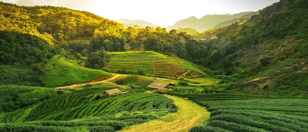 Top 4 Destinations To Visit In Assam This Summer