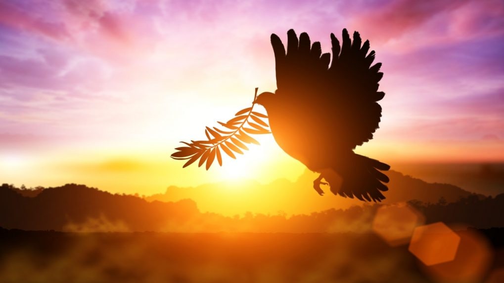 International Day of Peace 2022 — history and significance