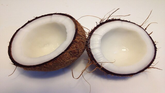 World Coconut Day: History, significance and uses of the versatile ...