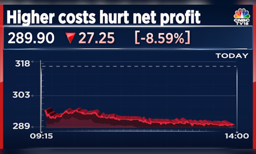 Apex Frozen Foods shares tumble after higher costs hit quarterly profit ...