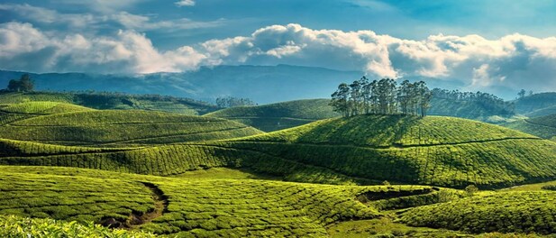Enjoy The Hills, Cool Climate, Good Food And More In Munnar