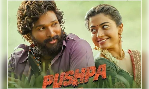 Happy Birthday Allu Arjun: Top 5 performances of the 'Pushpa' star ...