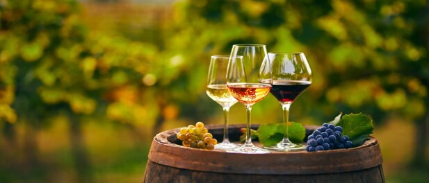 Rico Vineyard and Winery tour For Bangaloreans: A perfect blend of wine ...