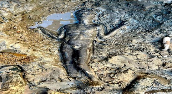 24 stunningly preserved ancient Rome bronze statues discovered in Italy ...