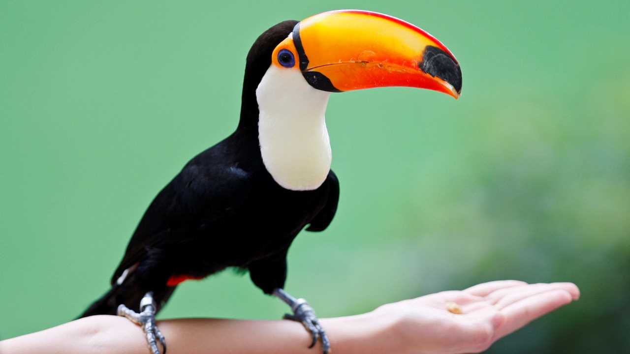 2 brand new, highly-anticipated tourist attractions to open up in ...