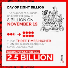 8 billion