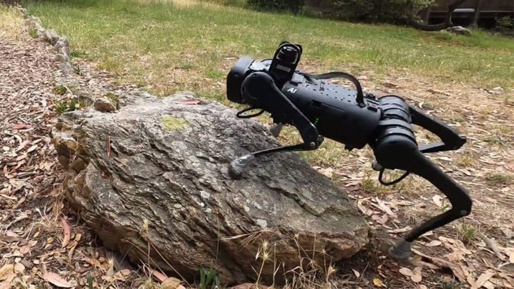 This creepy low-cost robot can go anywhere