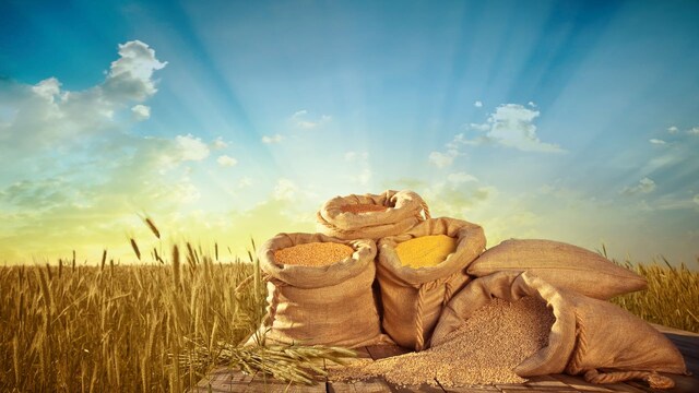 World food prices hit record high in 2022 despite December fall - CNBC TV18
