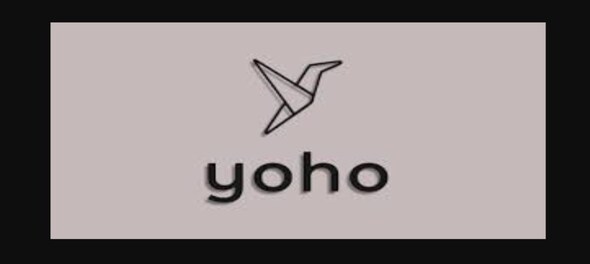 Ex-Paytm Director Sanjeev Misra joins D2C footwear startup Yoho's board ...
