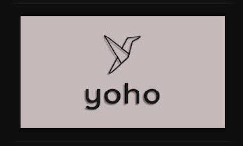 Ex-Paytm Director Sanjeev Misra joins D2C footwear startup Yoho's board ...