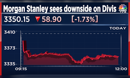 Morgan Stanley cites these factors why Divi's can underperform its ...