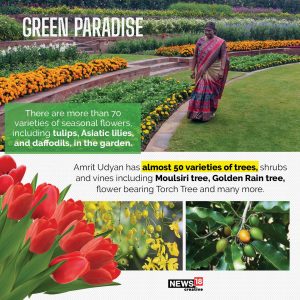 Amrit Udyan opens for public today: How to book tickets and other details