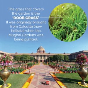 Amrit Udyan opens for public today: How to book tickets and other details