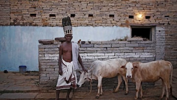 Must-visit Chhattisgarh: A treasure trove for travelers - CNBC TV18