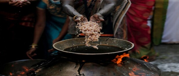 Five best Pongal dishes to try during this harvest festival