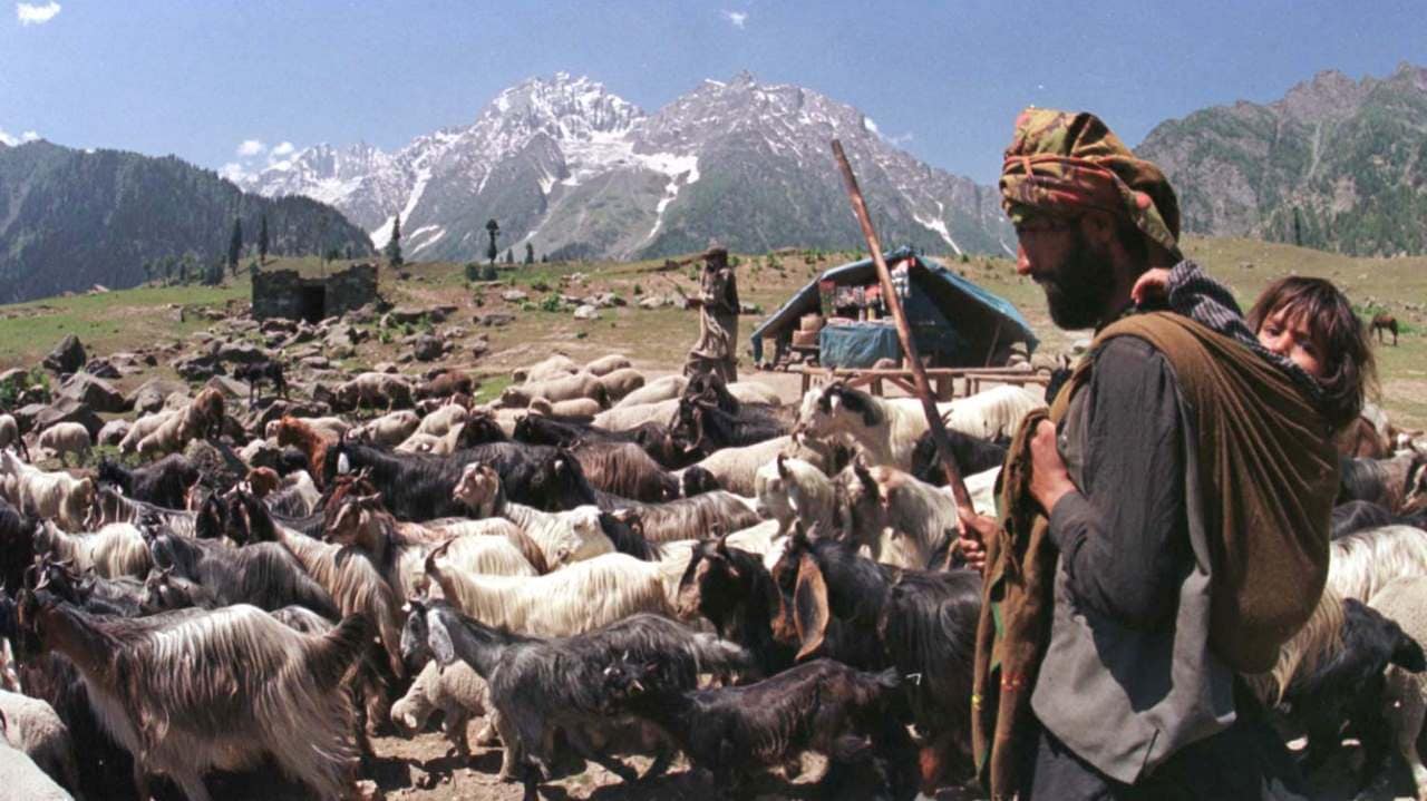 Wild weekend away: A guide to exploring the Himalayan paradise of Sonamarg