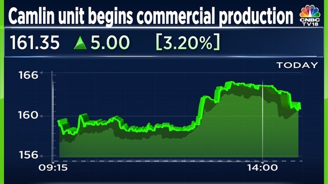 Camlin Fine Sciences shares rise after commercial production begins at ...