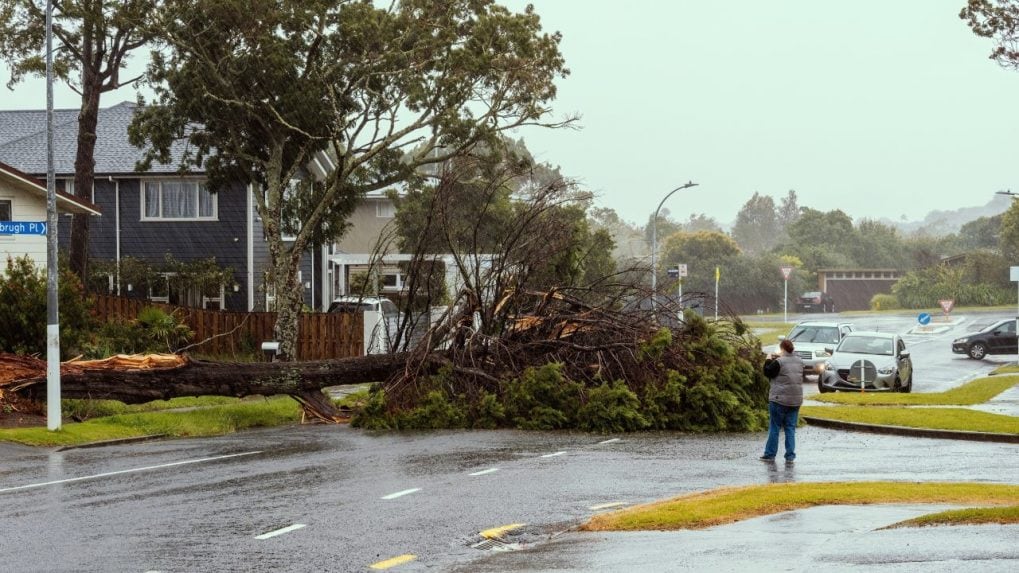 New Zealand braces for $8 billion cost of cyclone Gabrielle aftermath ...